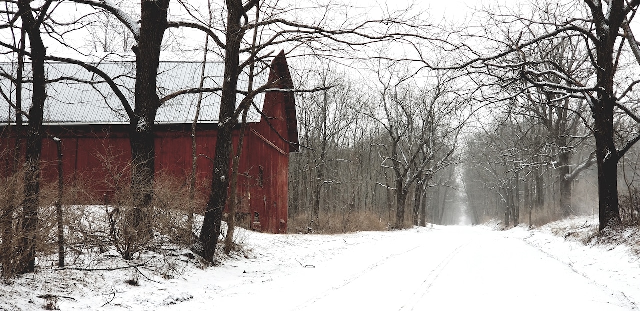 Quiet road in Yates County (photo)