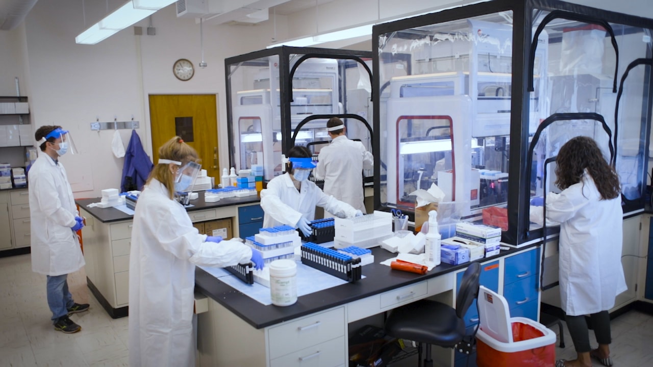 Cornell University builds a Coronavirus testing lab on-campus