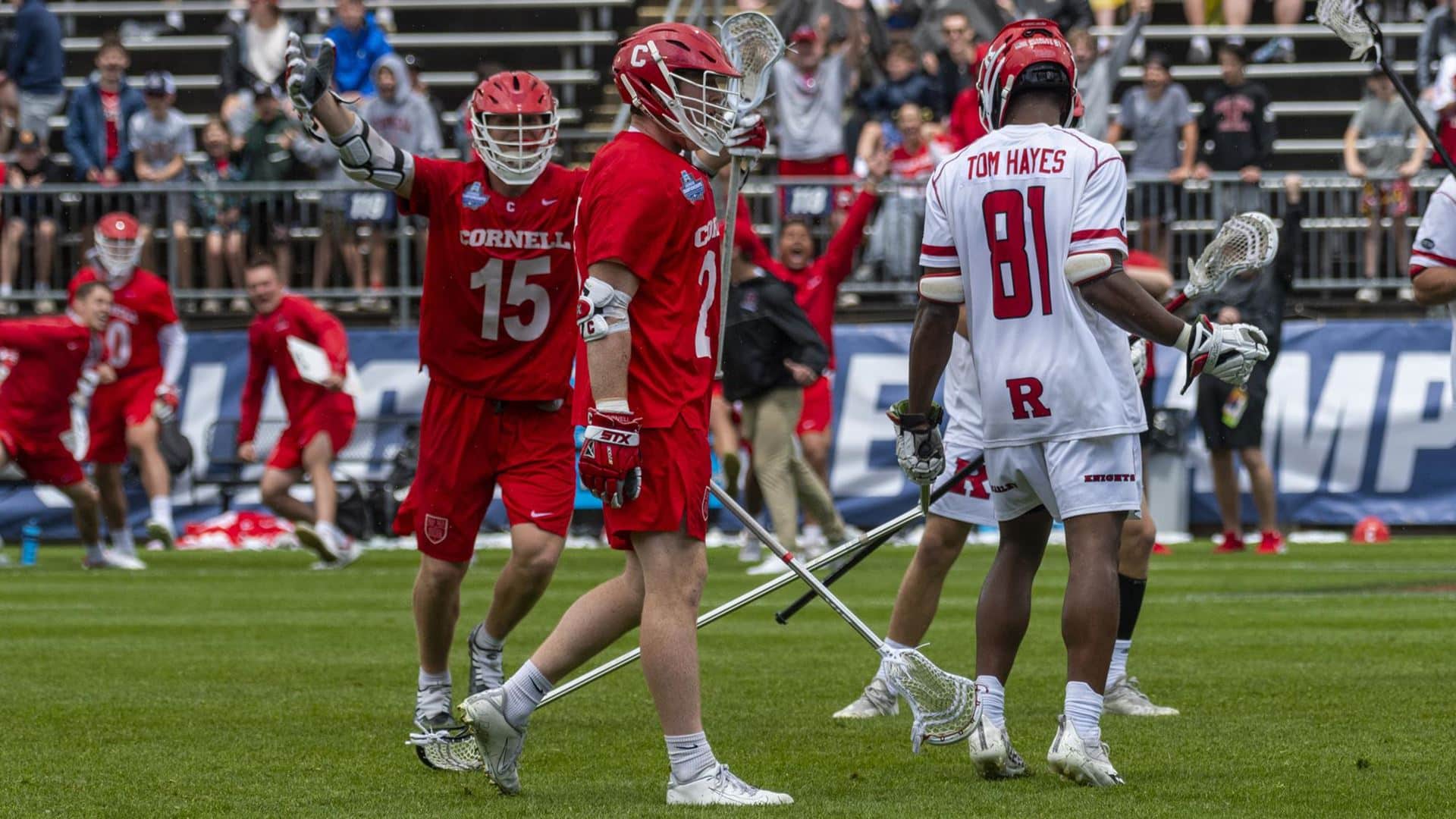 Cornell's synthetic turf project approved despite major environmental ...