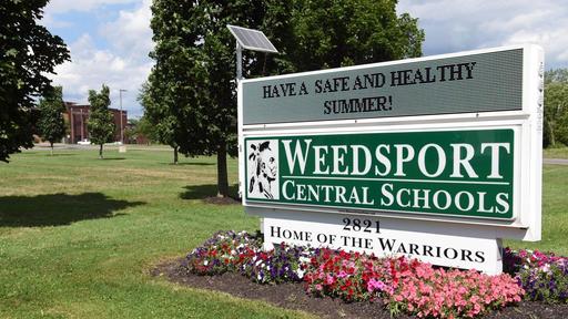 Southern Cayuga, Weedsport schools begin process to find new mascot ...