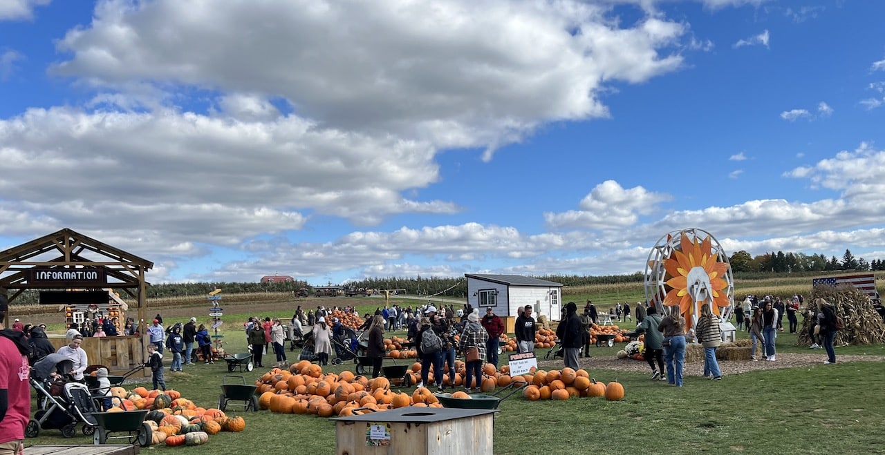 Wickham Farms: Looking for something to do this weekend? Check out this ...