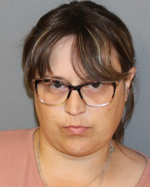 Seneca Falls woman arrested after two warrants issued for larceny