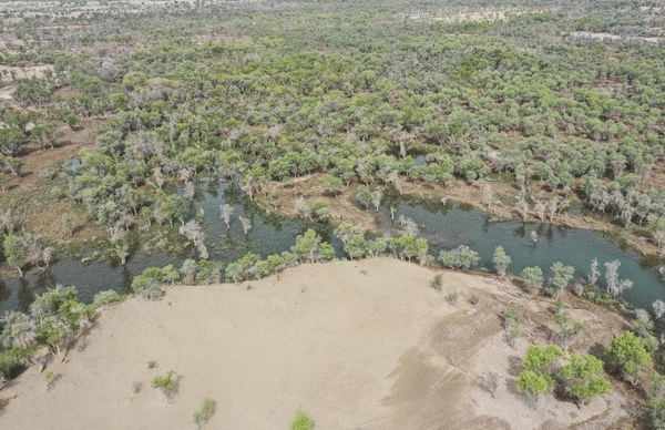 China Completes 3,000-Km Tree Belt Around Taklamakan Desert