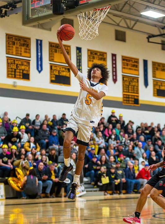 FRIDAY HS BASKETBALL SECTIONAL REPORT: Halsey joins 1000-point club as ...