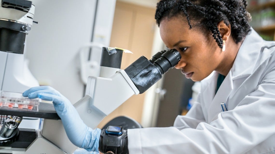 Cornell loses key funding for global language study