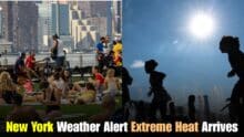 New York Weather Alert Extreme Heat Arrives This Week Here's How to ...